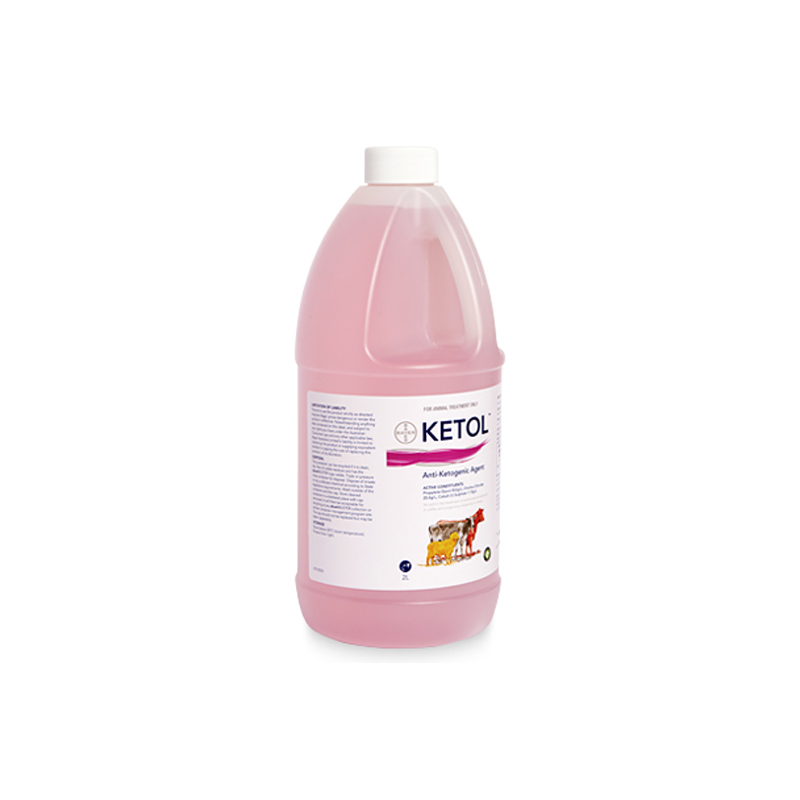Ketol Anti-Ketogenic Agent 2L » Ourimbah Vet Shop